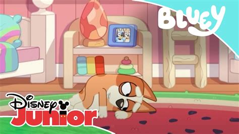 Bluey Jugando Con Bingo Y Bluey Disney Junior Oficial