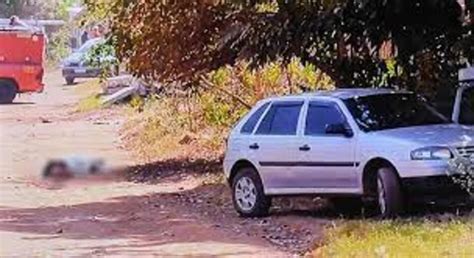 Idoso morre após ataque de abelhas em fazenda de Goiás Metrópoles