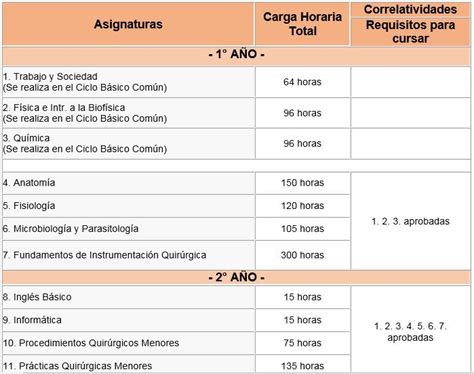 Plan De Estudios Facultad De Medicina UBA