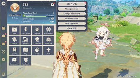 How To Change The Main Character S Name In Genshin Impact