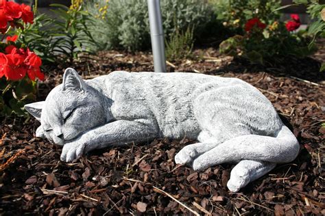 Ide Top Beton Cats