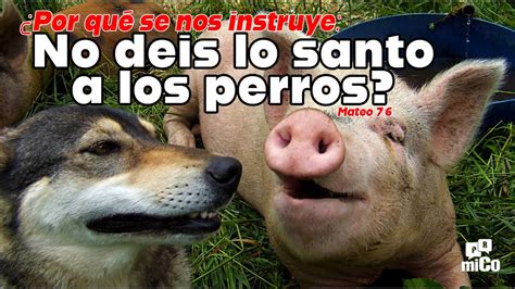Mateo 7 6 Por qué se nos instruye No deis lo santo a los perros