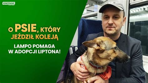 O Psie Kt Ry Je Dzi Kolej Lampo Pomaga W Adopcji Liptona Kino