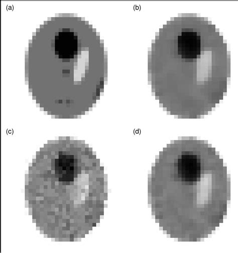figure 1 from fully bayesian reconstructions from single photon emission computed tomography