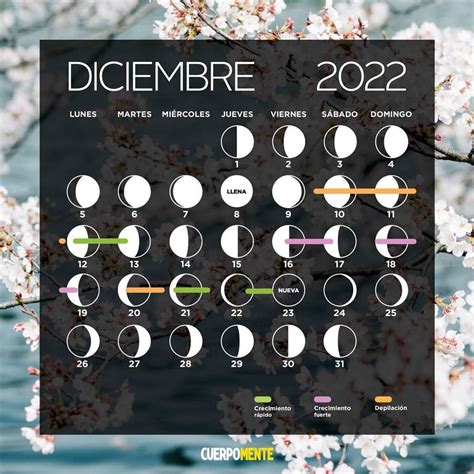 Calendario lunar 2023 corte de pelo siembra y depilación Artofit