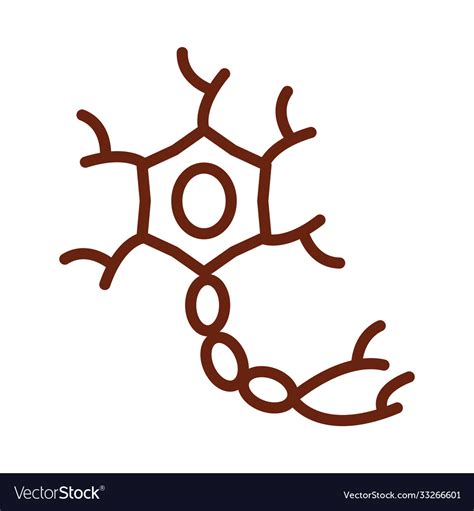 Body Cell Vector Png Free Image The Best Porn Website