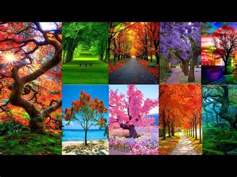 Beautiful Scenery Dp For Whatsapp Infoupdate Org