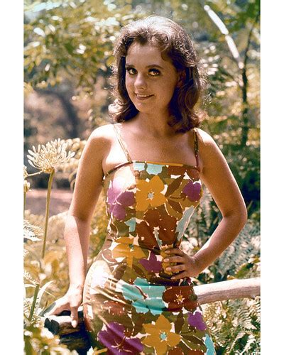 Dawn Wells Gilligans Island Posters And Photos 201699 Movie Store