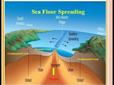 What Is Sea Floor Spreading Process Of Sea Floor Spreading Plate