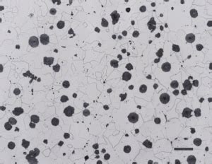 Metallographic Procedures For Cast Irons