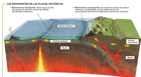 PLACAS TECTÓNICAS Origen Qué Son Características Tipos Y Más