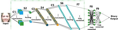 architecture of a basic binary cnn download scientific diagram