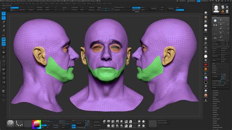 hd male head model 01