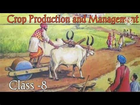 NCERT Science Class 8 Chapter 1 Crop Production And Management Part 2