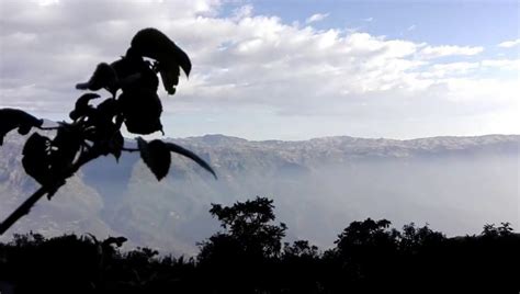 Bosques Nublados De Udima Descubre Este Refugio De Vida Silvestre
