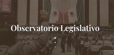 Laboratorio Electoral on Twitter Descubre el número de iniciativas
