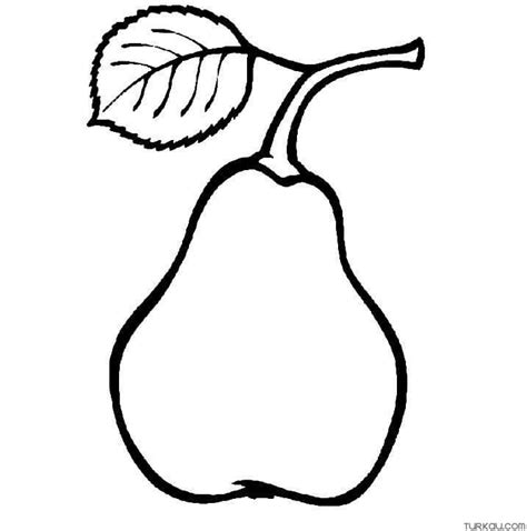 Pear Pera Para Colorear Turkau