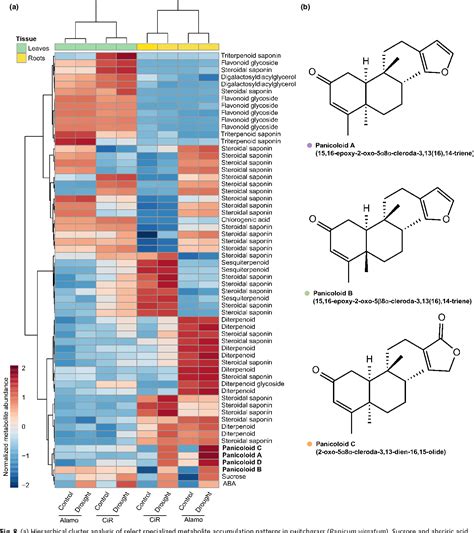 Figure 1 From Comparative Transcriptomics And Metabolomics Reveal