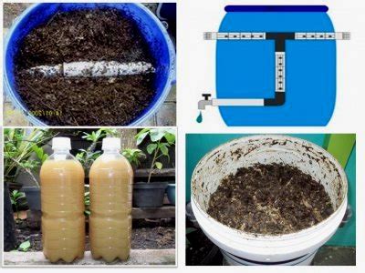 Cara Membuat Pupuk Organik Cair Yang Bagus Dari Proses Fermentasi