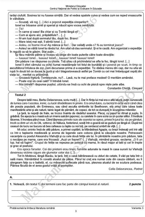 Evaluarea Nationala 2024 Ce Subiecte Au Primit Elevii La Proba La