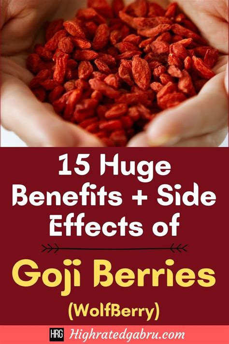 Goji Berry Juice Health Benefits Sere Fruit