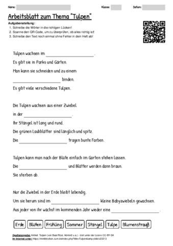 Arbeitsblatt Mit QR Code Zum Thema Tulpen Einfache Sprache