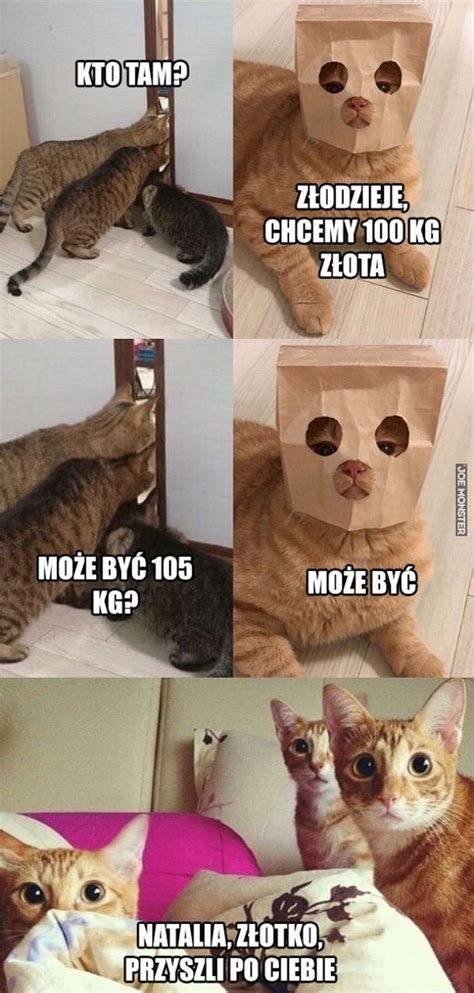 Złodzieje w domu Joe Monster