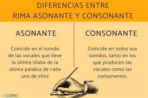 Diferencias entre vocales y consonantes identificación y función