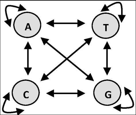 figure 1 from performance evaluation and benchmarking of an extended computational model of ant