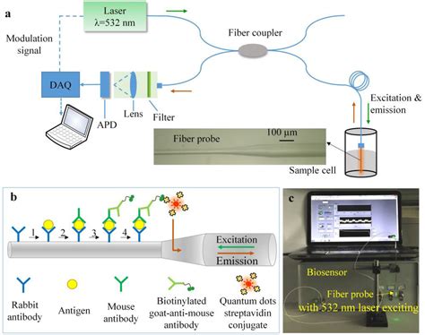 Frontiers A New Optical Fiber Probe Based Quantum Dots