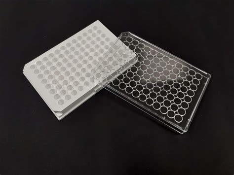 Poly L Lysine Coated 96 Well Plates Biomat Tissue Culture Plates
