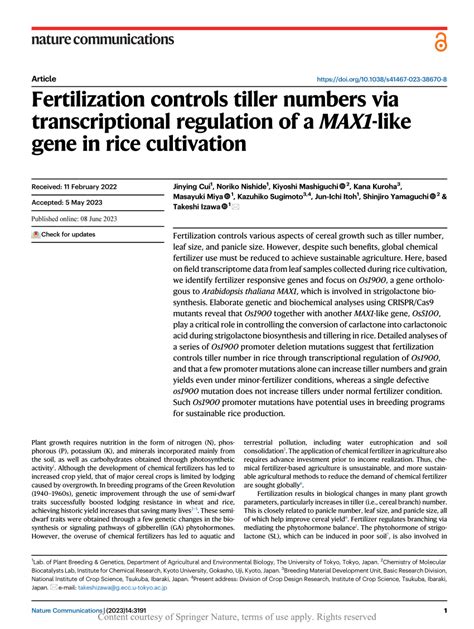 pdf fertilization controls tiller numbers via transcriptional regulation of a max1 like gene