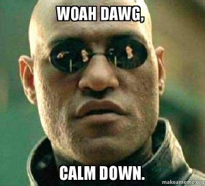 Top Calm Down Memes Everybody S Sharing Sayingimages