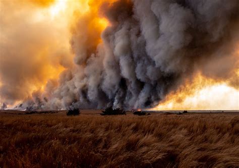 Incendios Forestales Y El Peligroso Ciclo De Los Pyrocumulus