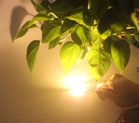 Odlamp Super Bright High Power LED Chip 50W SMD COB Light Warm White