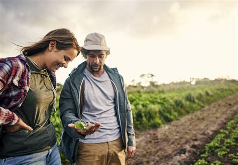 Agricultura Biológica e Sustentável Cursos ao Minuto