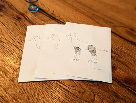Witziges Okapi Vorlage Der Afrikanischen Dschungel Giraffe Zum