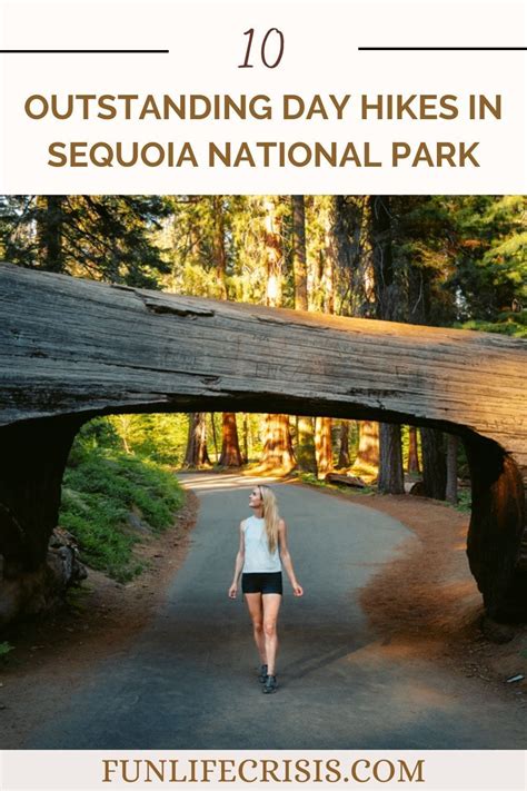 Best Day Hikes In Sequoia National Park Artofit