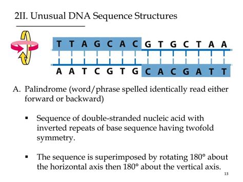 PPT Nucleic Acid Structure And Stability PowerPoint Presentation