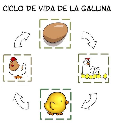 Menta M S Chocolate Recursos Y Actividades Para Educaci N Infantil