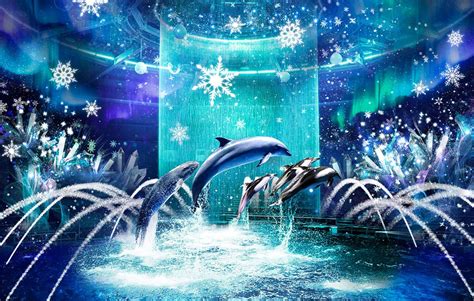 Naked Snow Aquarium Naked Inc