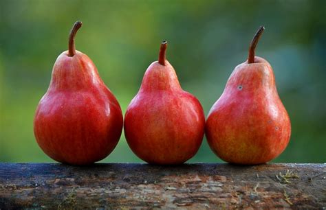 Pærer Frugt Kost Sund Og Gratis foto på Pixabay Pixabay