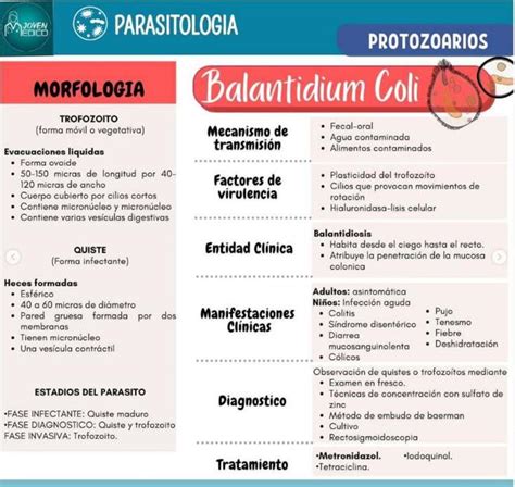 BalanTidium Coli YUDOC ORG UDocz