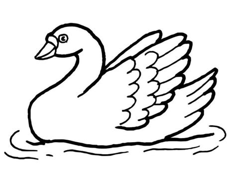 Dibujos De Cisne Para Colorear E Imprimir ColoringOnly
