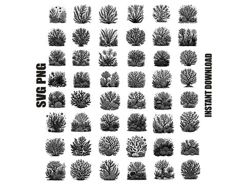 Coral SVG Sea Coral Svg Seaweed SVG Sea Plants SVG Bundle Under
