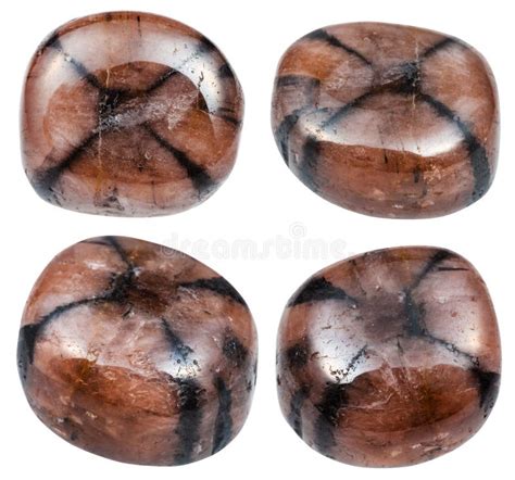 Various Minerals With Names Isolated On White Stock Photo Image Of