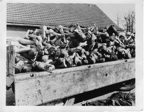 Historical Photos Of The Buchenwald Concentration Camp Buchenwald And