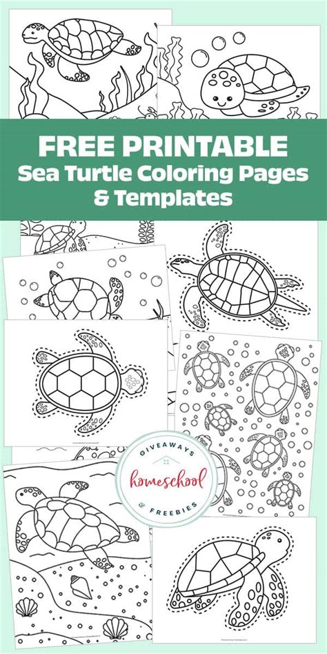 Free Printable Sea Turtle Coloring Pages Templates