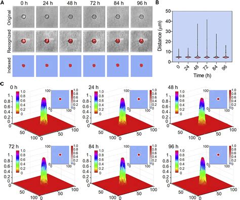 AI Aided High Throughput Profiling Of Single Cell Migration And