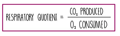 Respiration OCR The Science Sauce